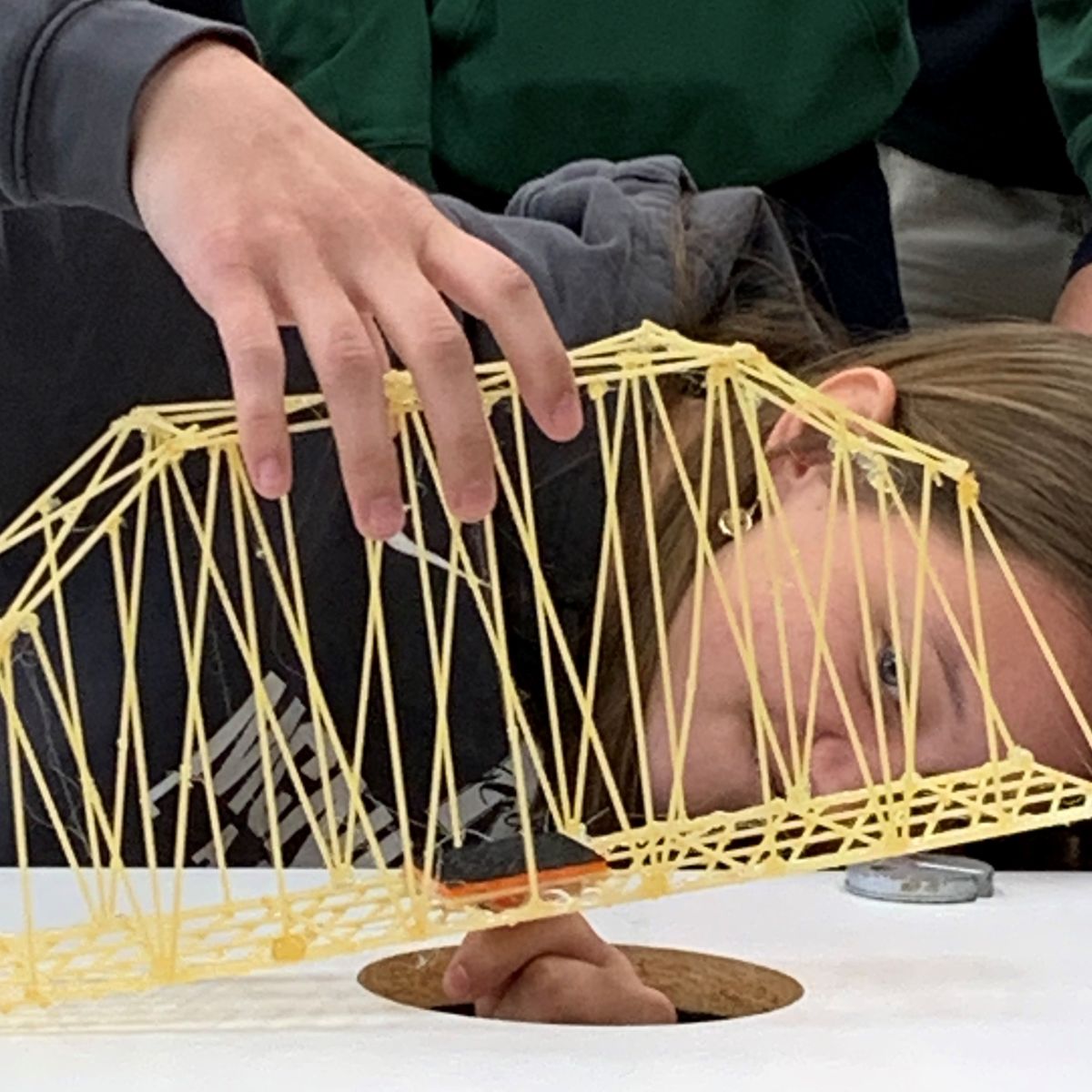 Architecture student’s pasta bridge holds over 14 pounds | News Details ...