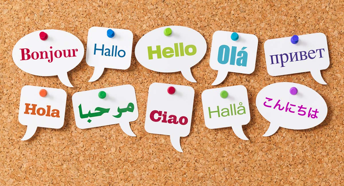 Choosing The Right Path For Foreign Language Study Read More