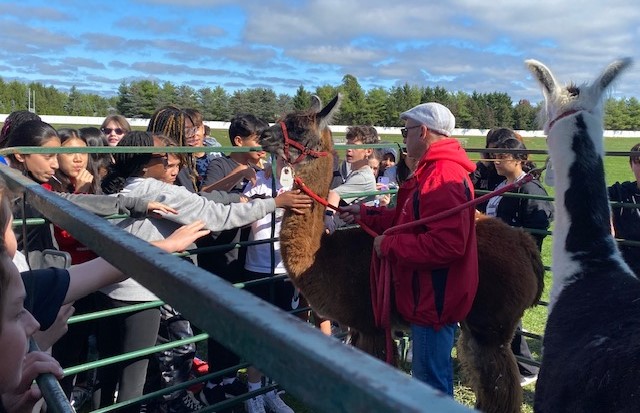 West Hollow Lunch Programs Begin With Visit From Llama Program | News Post