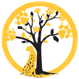 Welcome to the 2025-2026 School Year! - Englewood Schools