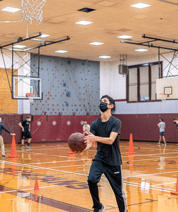 Athletics at Packer - The Packer Collegiate Institute