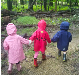 Barrie School - Tuition & Affording Barrie