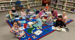 elementary school librarian