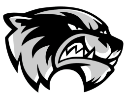 skyview wolverines logo