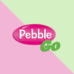 pebblego logo
