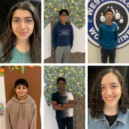 creative problem solving institute