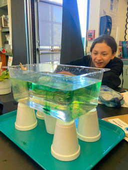 elephant toothpaste experiment school