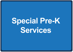 special support service