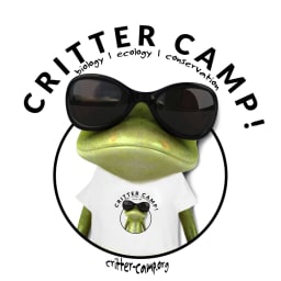frog activity camp