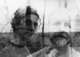 danielle picard sheehan