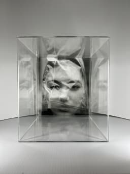 danielle picard sheehan