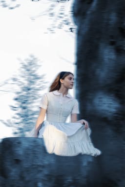 danielle picard sheehan