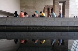 danielle picard sheehan