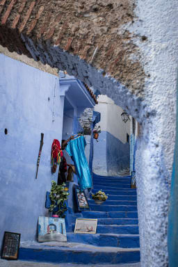 danielle picard sheehan