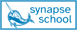 synapse school gifted