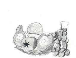 observational drawing examples