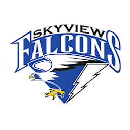 skyview logo