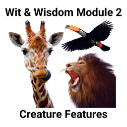 1st Grade - Liberty Elementary School