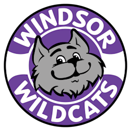 elementary wildcat