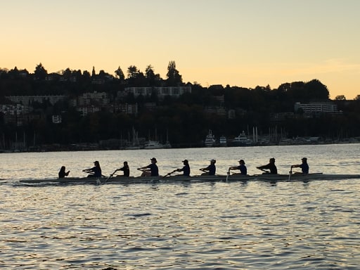 crew rowing