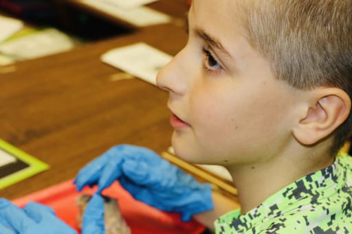 Jennifer Slifer's Instagram, Twitter & Facebook on IDCrawl