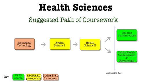 nursing technology course