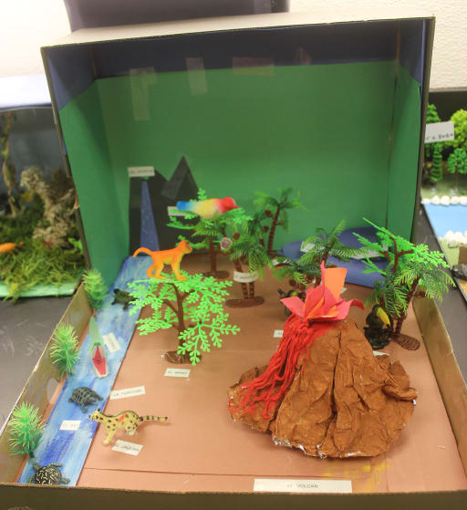 Rainforest Diorama Made By Recycled Material Recycling,, 46% OFF
