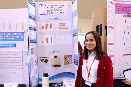 Science Fair Poster Boards Examples
