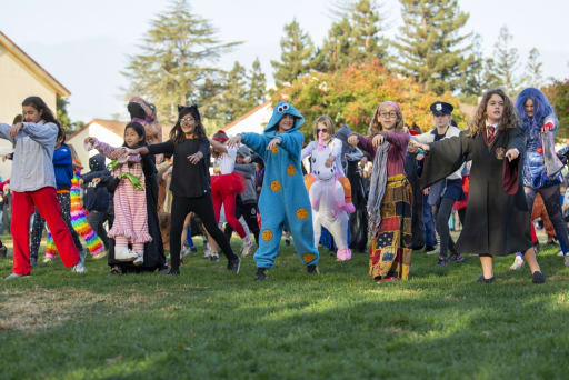 addison primary school