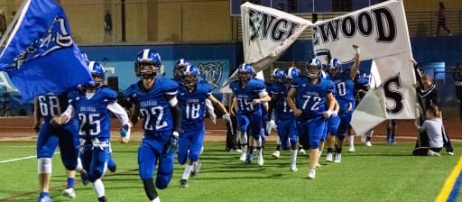 Englewood High School Logo Chicago Public Schools Englewood Stem High