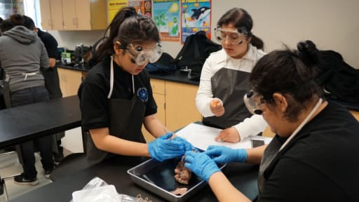 biomedical science course