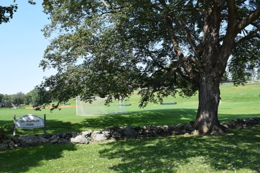 dwight school playing fields