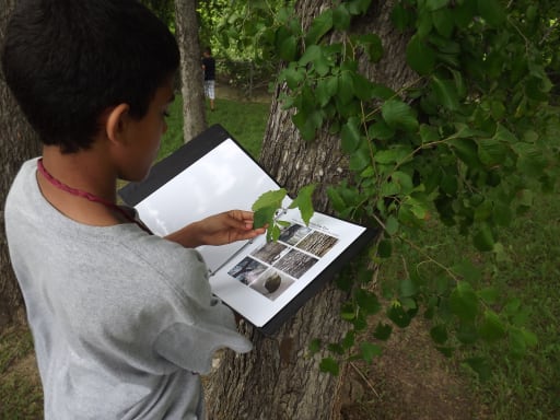 outdoor learning service