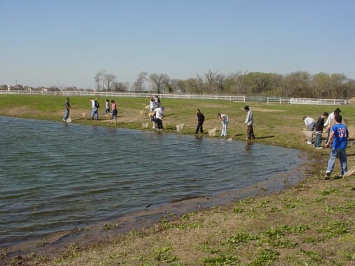 outdoor learning service