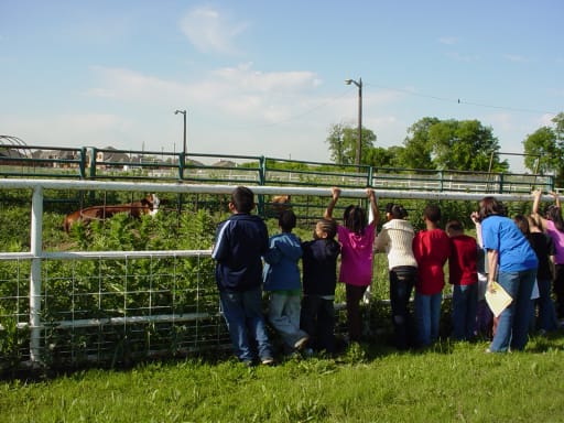 outdoor learning service