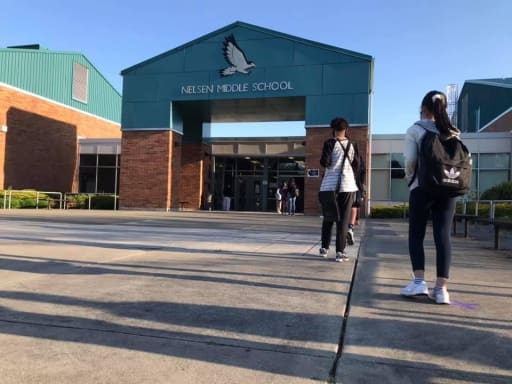 the nelson school