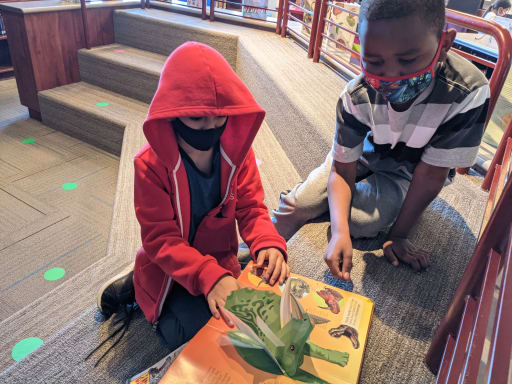 Library Learning Center - Backman Elementary School