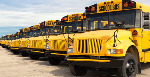 school bus information
