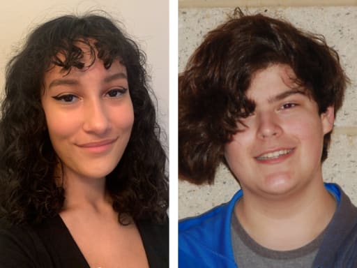 Oestrogel And The Mirena Coil: HRT's Last Chance –, 56% OFF