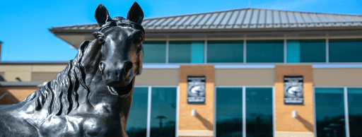 high school longsight