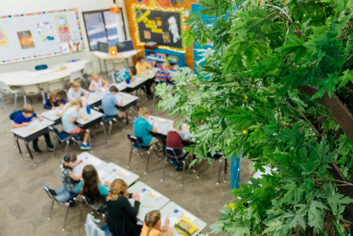 salisbury school nelson