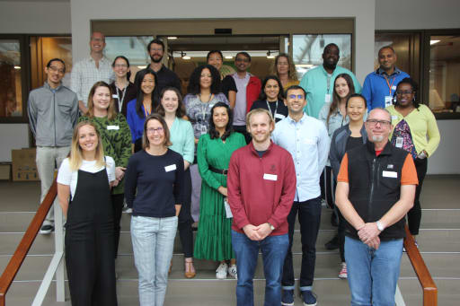 american school london