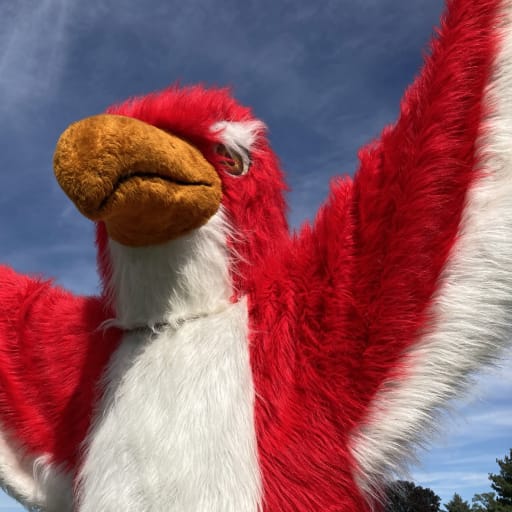 Hawk Mascot School
