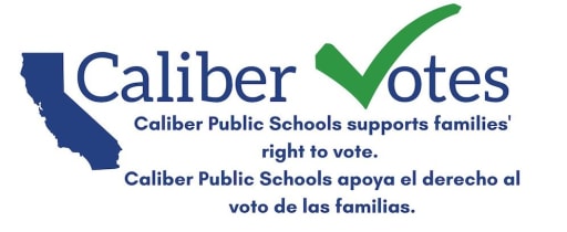 Mi Logo De Voto