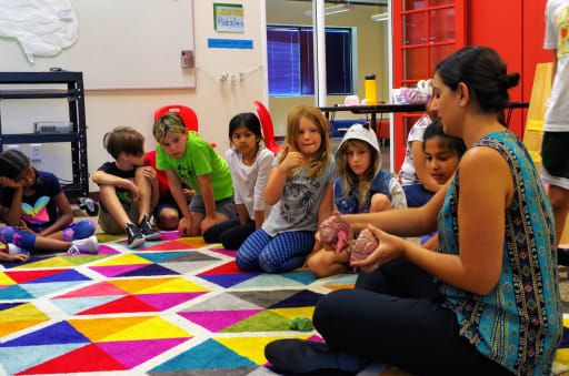 synapse school gifted