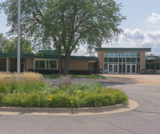 glacial drumlin school