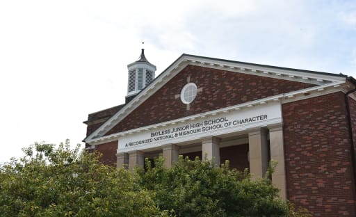 skip bayless high school