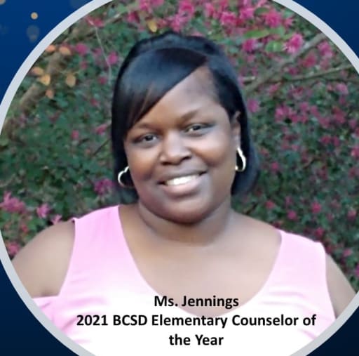 elementary counsellor