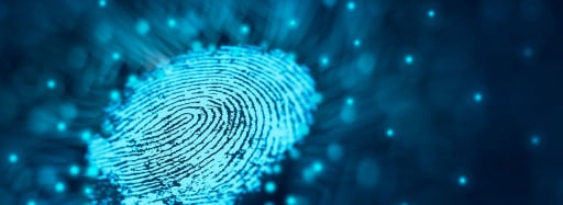 fingerprint background