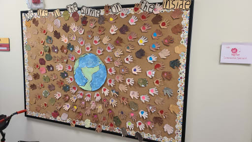 inclusion school display